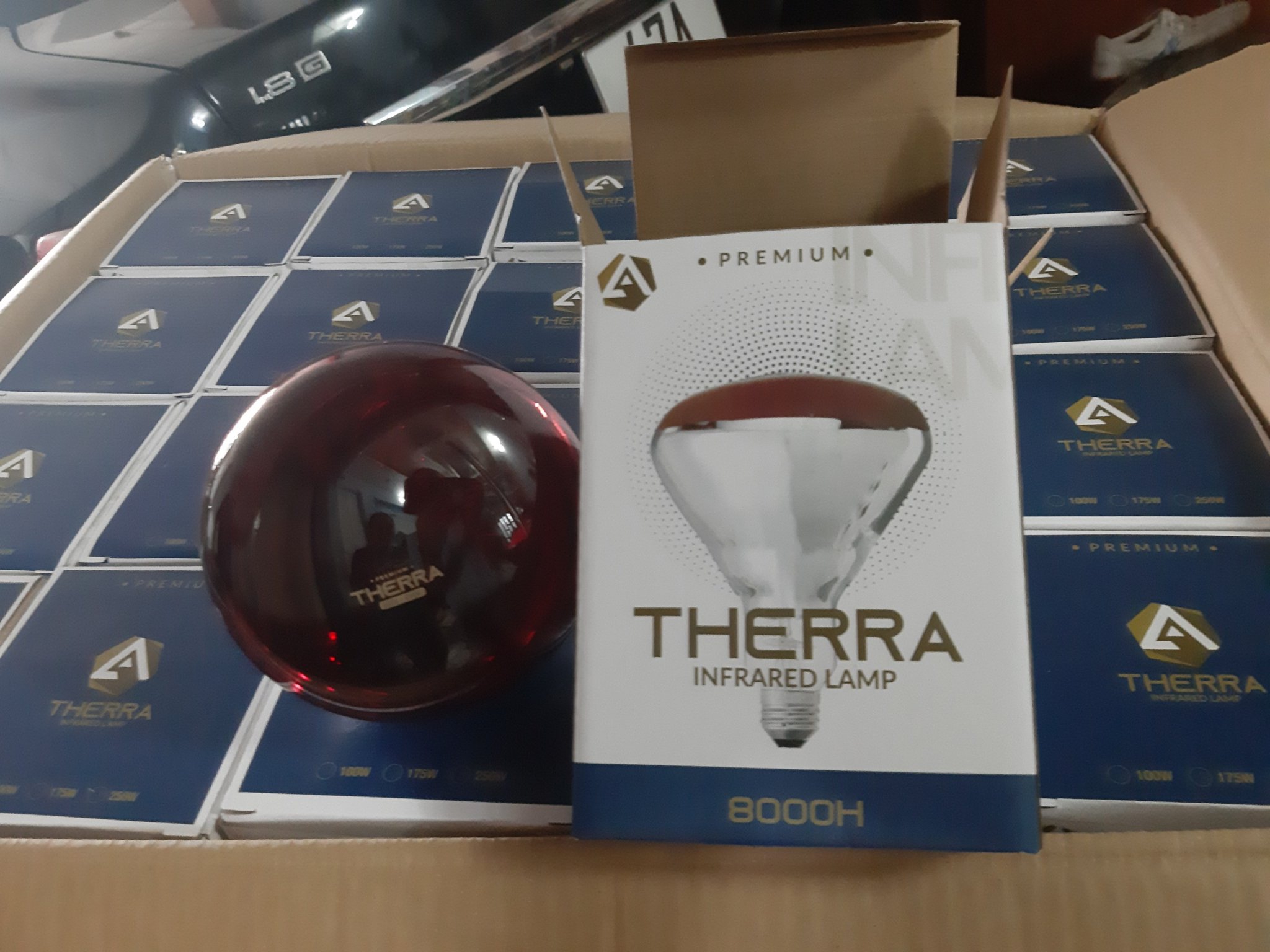 BÓNG ĐÈN HỒNG NGOẠI THERRA PREMIUM 8000H CAO CẤP