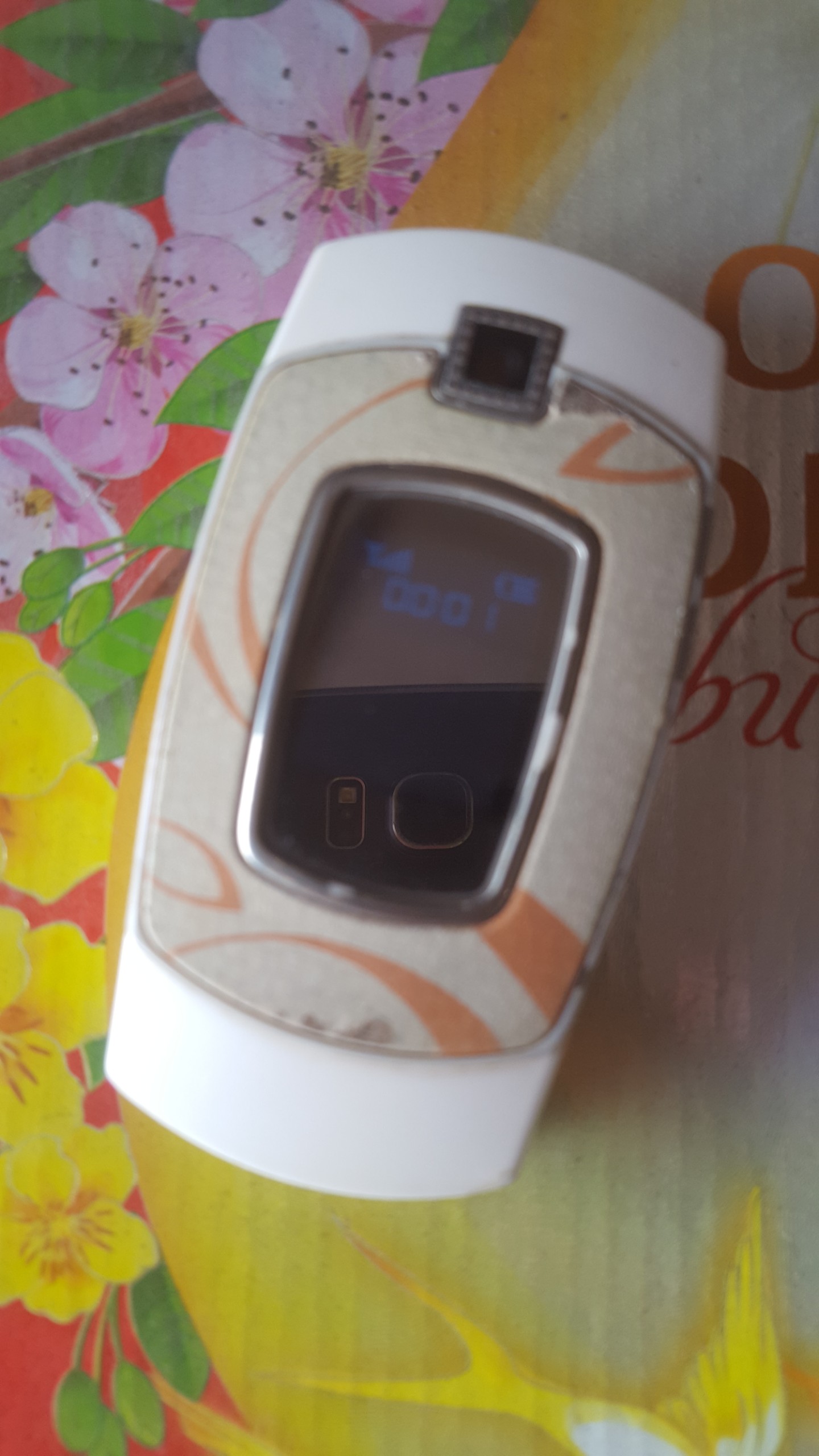 Samsung E500 dòng máy dành cho phái nữ quý phái