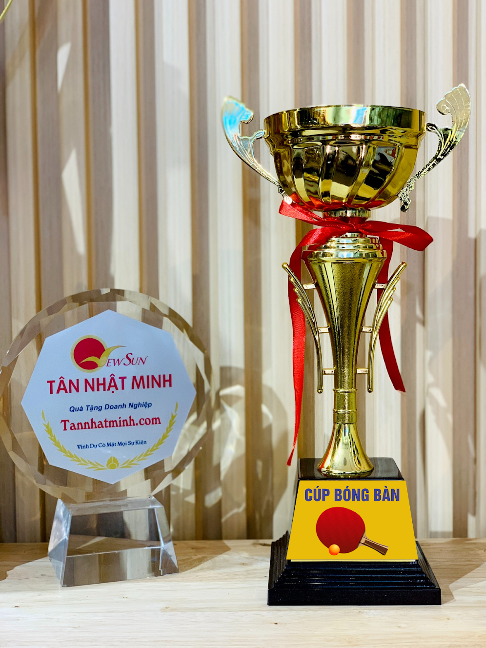 TOP Các Mẫu: Cúp Bóng Bàn Đẹp Giá Rẻ