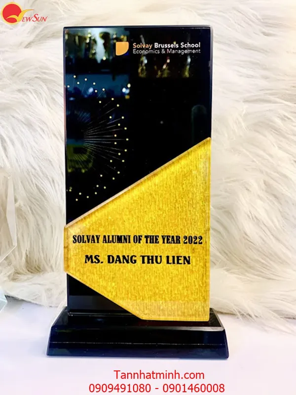 Kỷ Niệm Chương Pha Lê, Sản Xuất Chất Lượng Giá Rẻ - Tân Nhật Minh