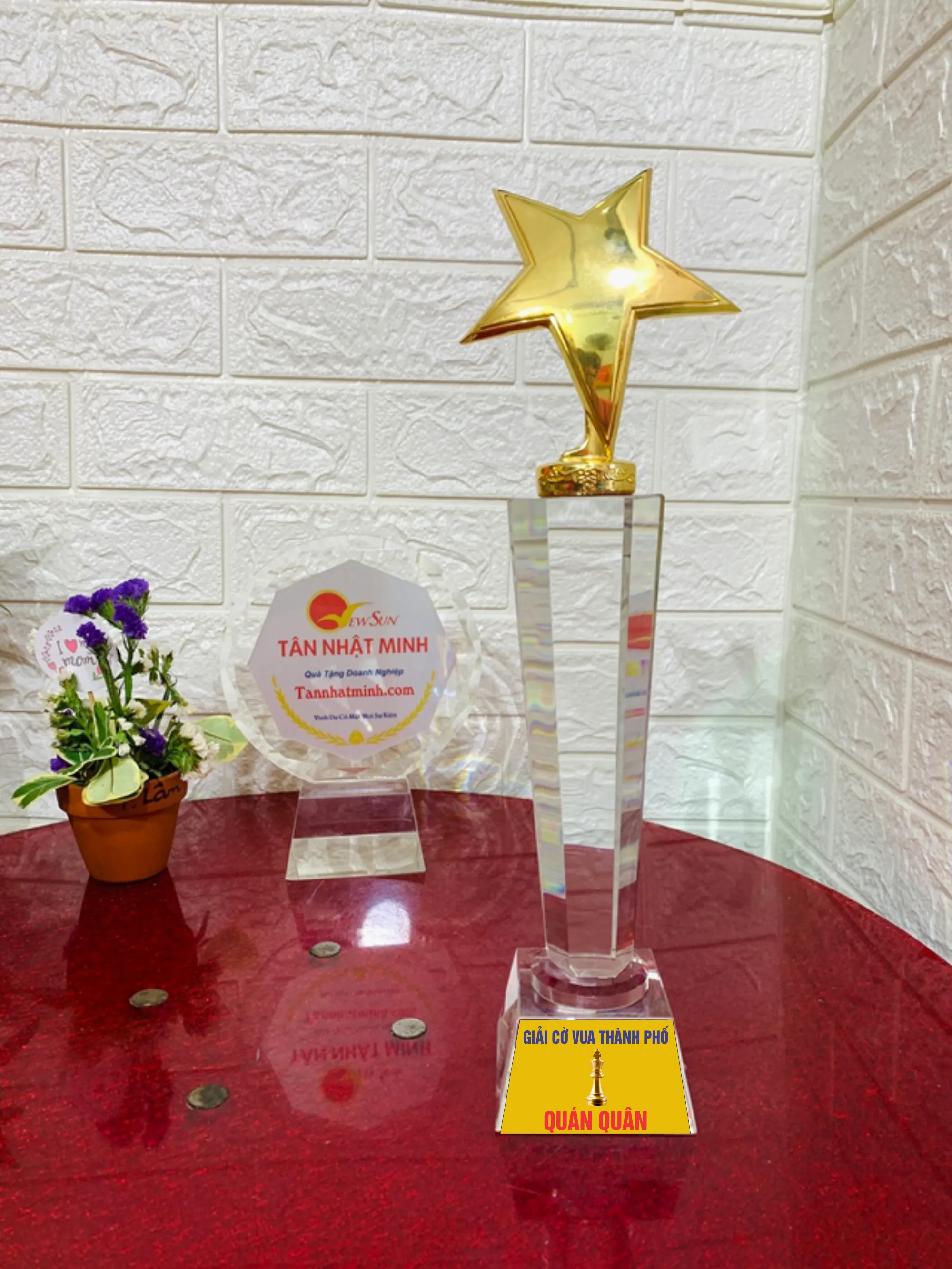 TOP Các Mẫu: Cúp Cờ Vua Đẹp Rẻ