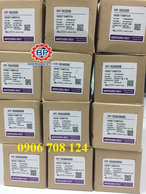 Nút bấm điều khiển cầu trục 2 nút