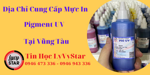 Địa chỉ bán mực in Pigment UV tại Vũng Tàu