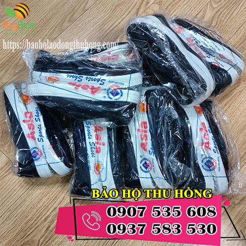 Cơ sở phân phối giày Asia bông lúa xanh tại TPHCM