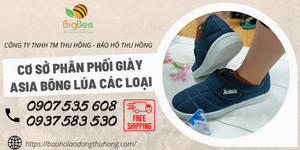 Cơ sở phân phối giày Asia bông lúa xanh tại TPHCM