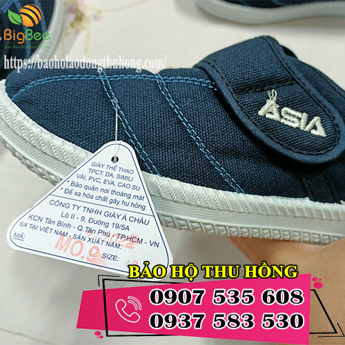 Cơ sở phân phối giày Asia bông lúa xanh tại TPHCM