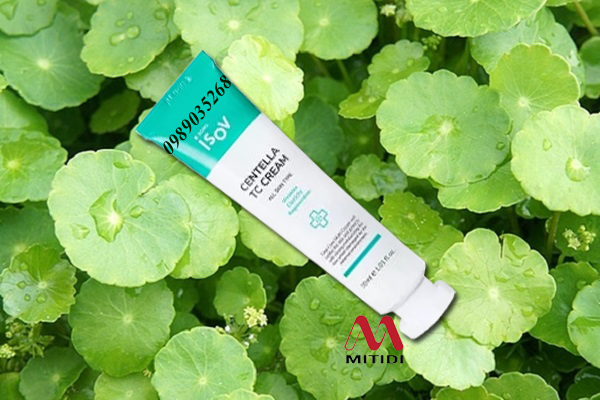Ai nên sử dụng kem trị mụn rau má Centella TC Cream iSOV?