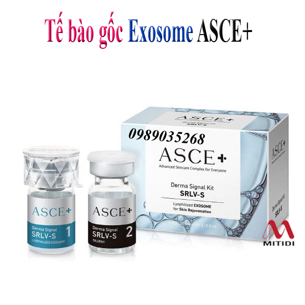 Tế bào gốc Exosome ASCE+