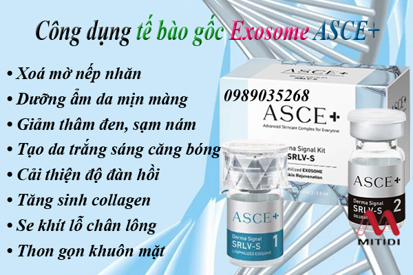 Tế bào gốc Exosome ASCE+
