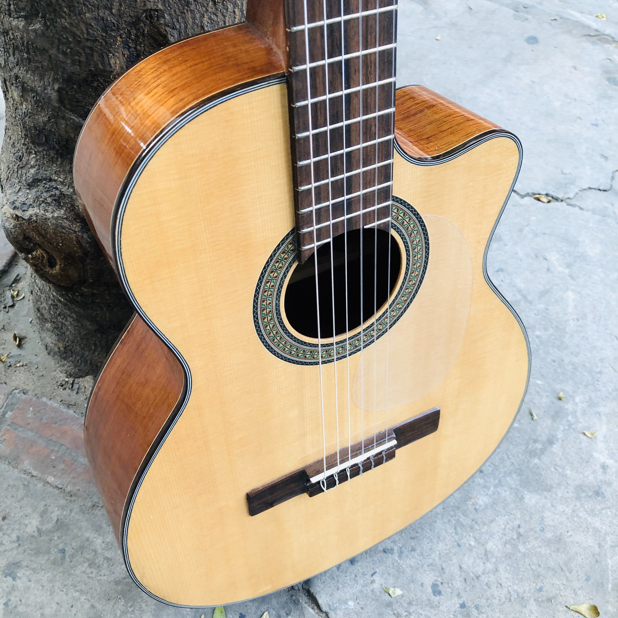 Đàn guitar classic gỗ thịt hồng đào SV-C3