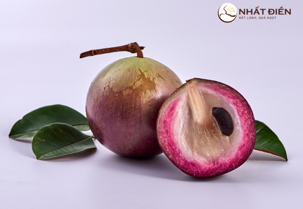 Vú Sữa Tím Nhất Điền