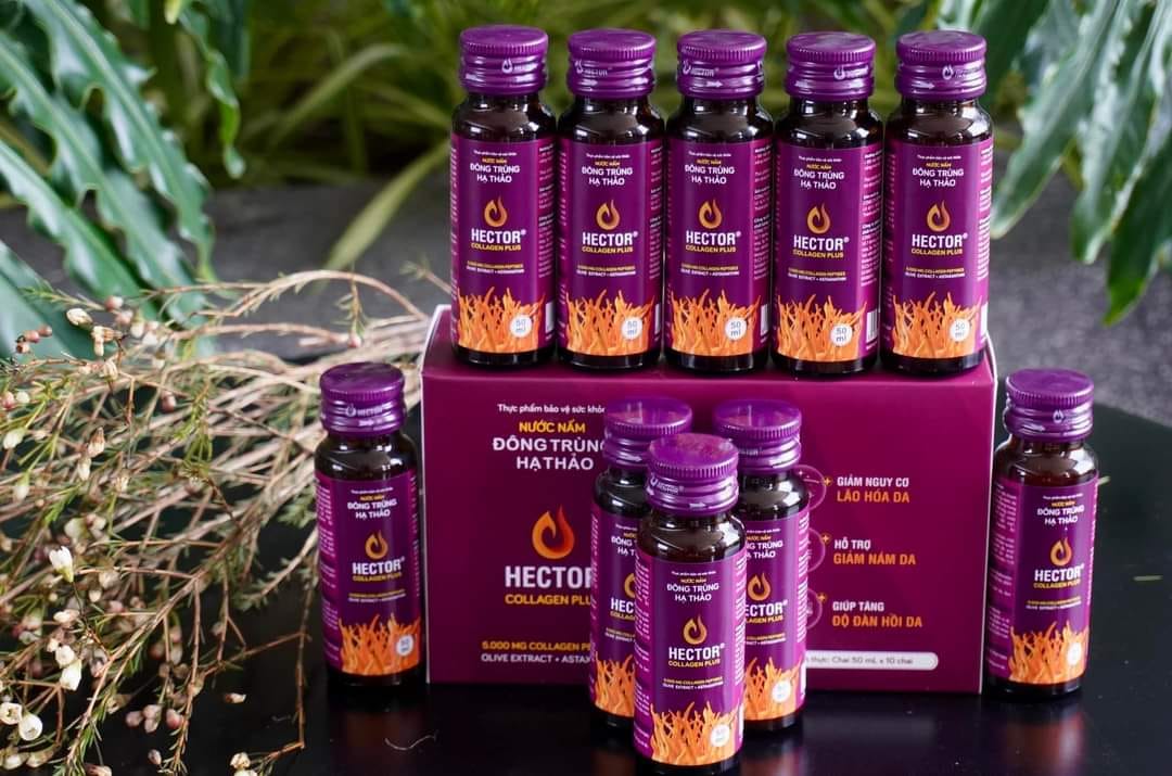 NƯỚC NẤM ĐÔNG TRÙNG HẠ THẢO HECTOR COLLAGEN PLUS