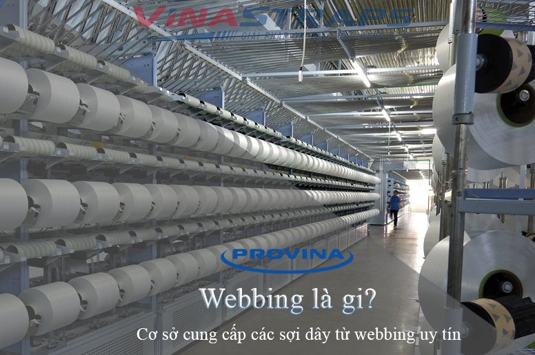 Nghĩa của từ ⊰Webbing⊱ là gì? Ứng dụng của nó trong cuộc sống