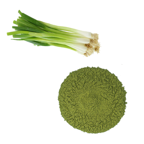 Scallion powder