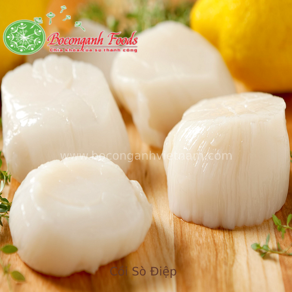 Ireland Scallops