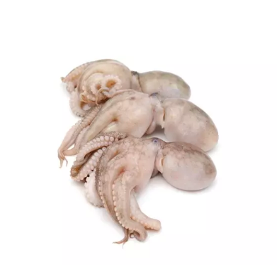 Whole Cleaned Baby Octopus