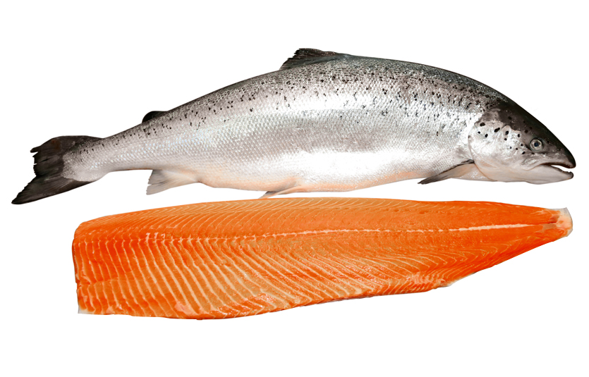 Whole salmon cleaning