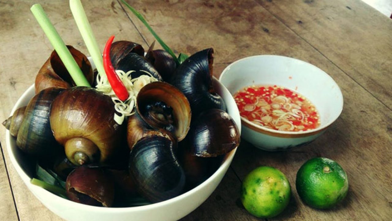 How to clean snail removing all sludge extremely simple