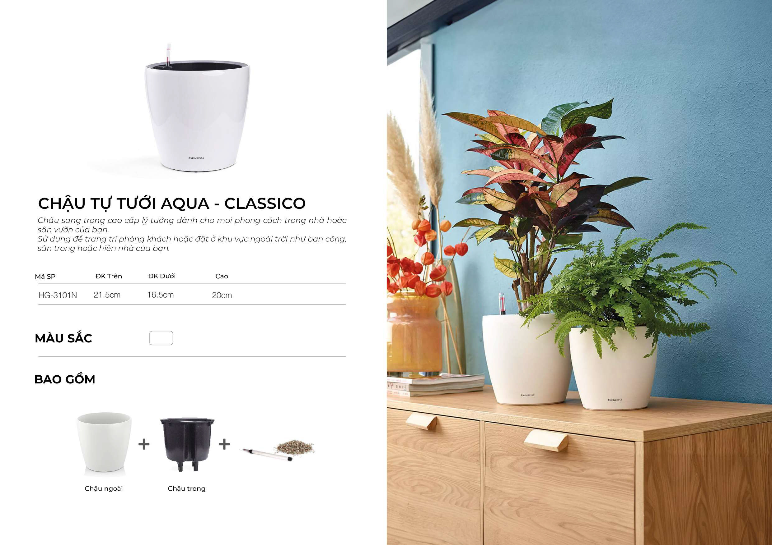 Chậu Tự Tưới Để Bàn AQUA-Classico