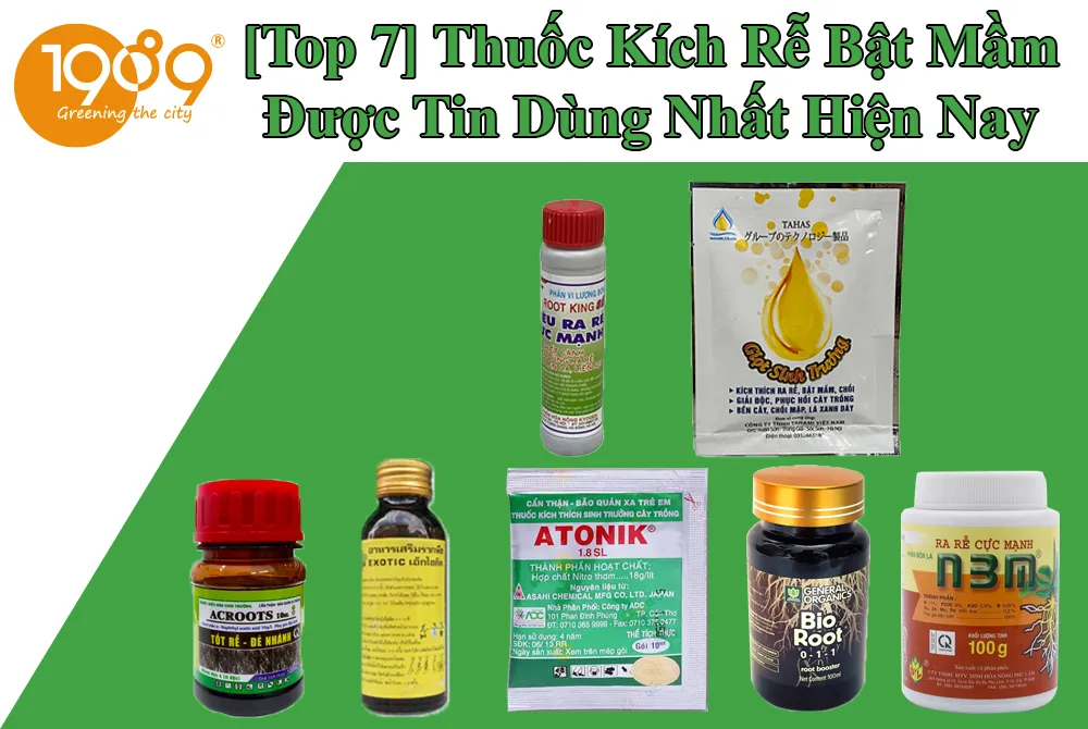 [Top 7] Thuốc Kích Rễ Bật Mầm Được Tin Dùng Nhất Hiện Nay