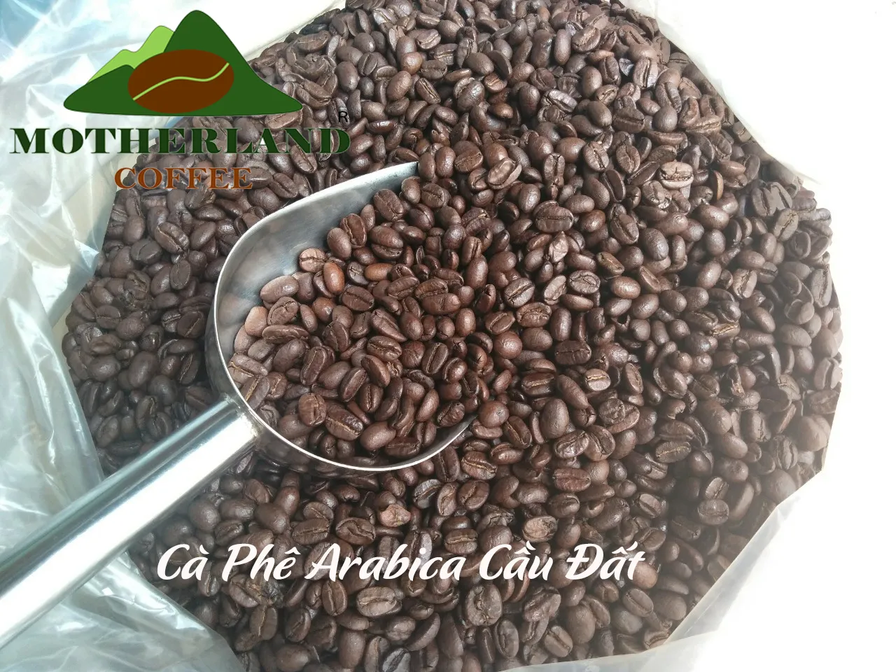 Cà phê hạt rang sẵn arabica và robusta