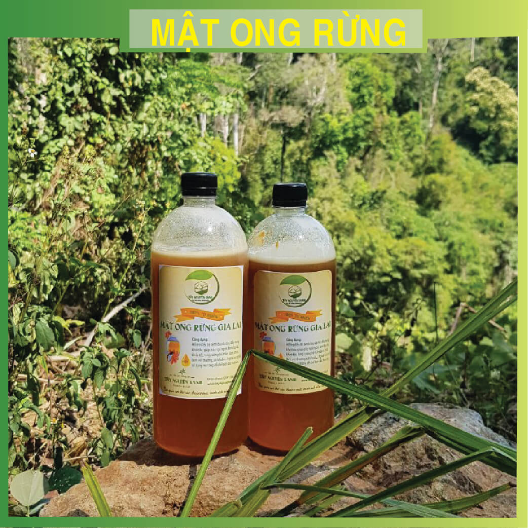 Mật Ong Rừng Chính Gốc Gia Lai Công Dụng Và Cách Sử Dụng