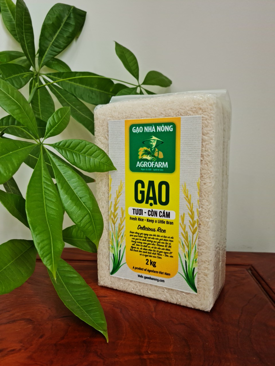 Gạo ST25 Lúa Tôm - Gạo Nhà Nông