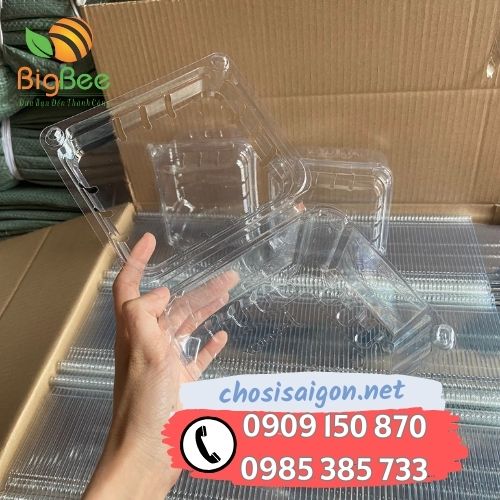 Hộp nhựa đựng trái cây P500D 500g giá rẻ nhất