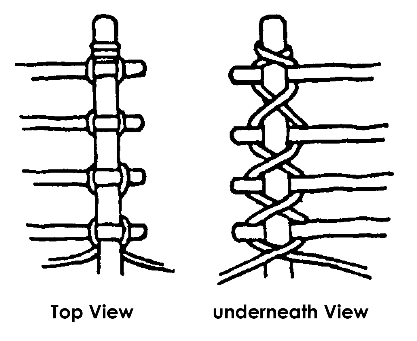Lashing Là Gì? Tổng Hợp Kiến Thức Về Lashing [Bạn Nên Biết]