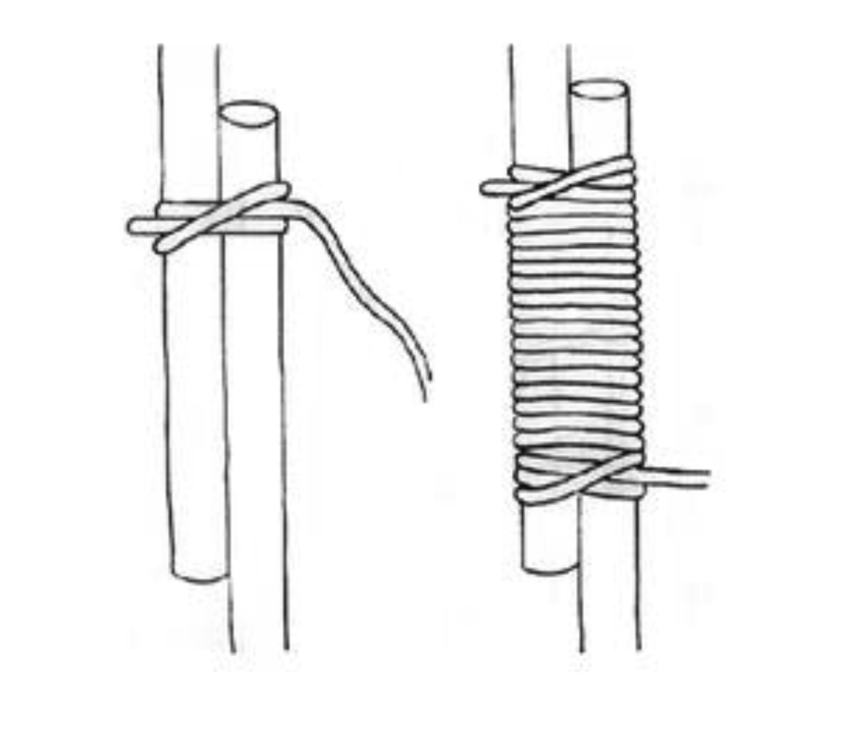 Lashing Là Gì? Tổng Hợp Kiến Thức Về Lashing [Bạn Nên Biết]