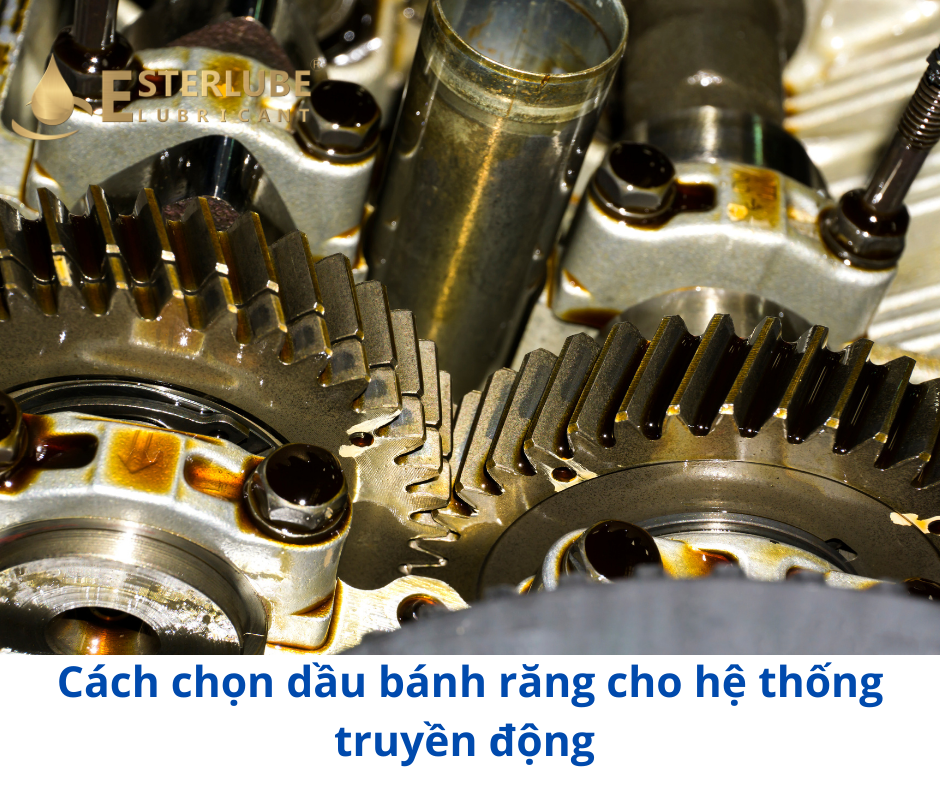 Dầu bánh răng nào dùng cho bánh răng hở, bánh răng kín