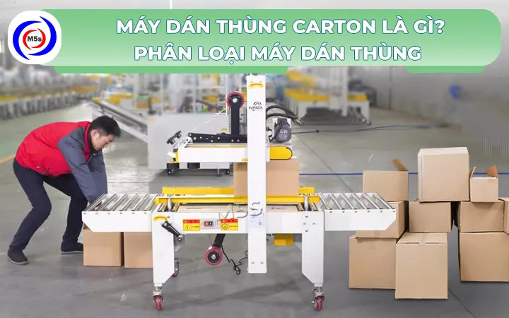 Máy dán thùng carton là gì? Phân loại máy dán thùng chi tiết