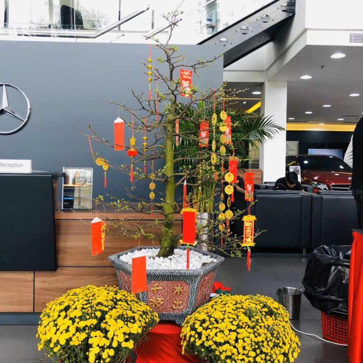 55+ Cách trang trí tết văn phòng 2026 đẹp, tiết kiệm chi phí nhất