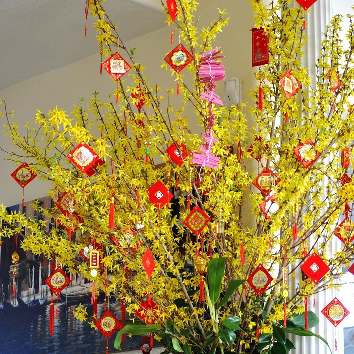 55+ Cách trang trí tết văn phòng 2026 đẹp, tiết kiệm chi phí nhất