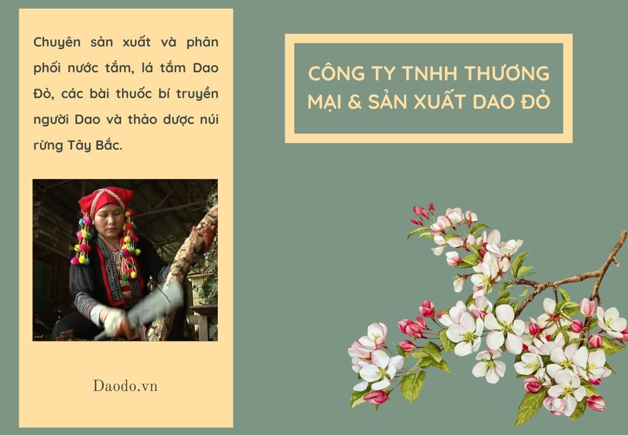 Giới thiệu Công ty TNHH Thương mại & Sản xuất Dao Đỏ