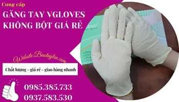 Nhà cung cấp găng tay y tế Vgloves không bột giá rẻ uy tín