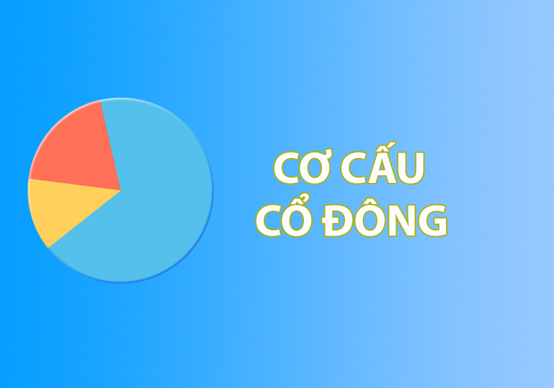 Cơ cấu cổ đông