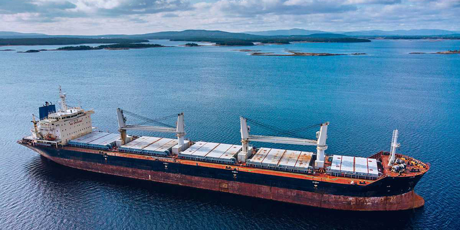 8 Major Types of Cargo Transported Through the Shipping Industry
