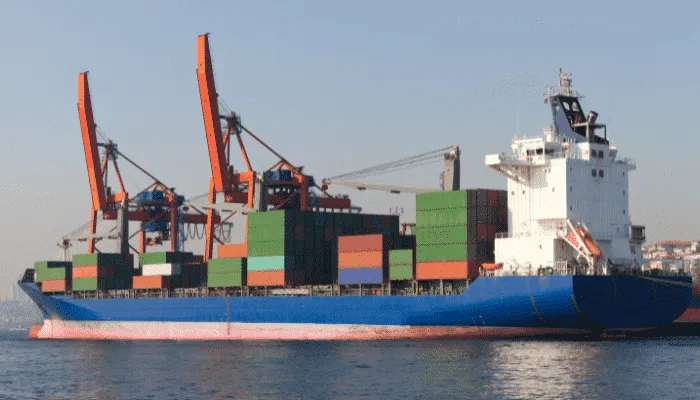 What are Container Carrier Alliances?