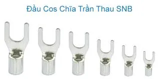 Cosse Y trần