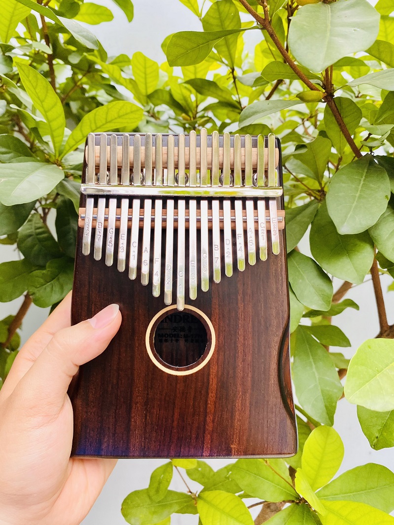 Những điều mà có lẽ nhiều người chơi còn chưa biết đến về đàn Kalimba