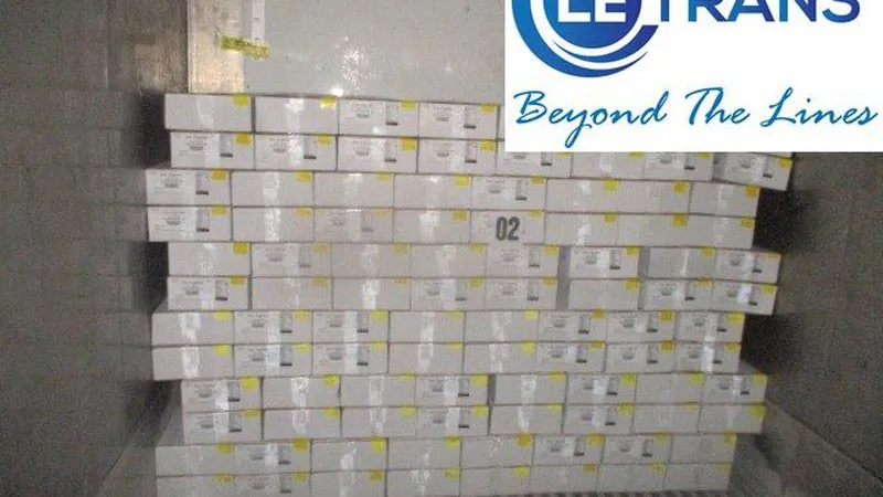 Le Trans - Beyond The Lines - Your Freight Hunter