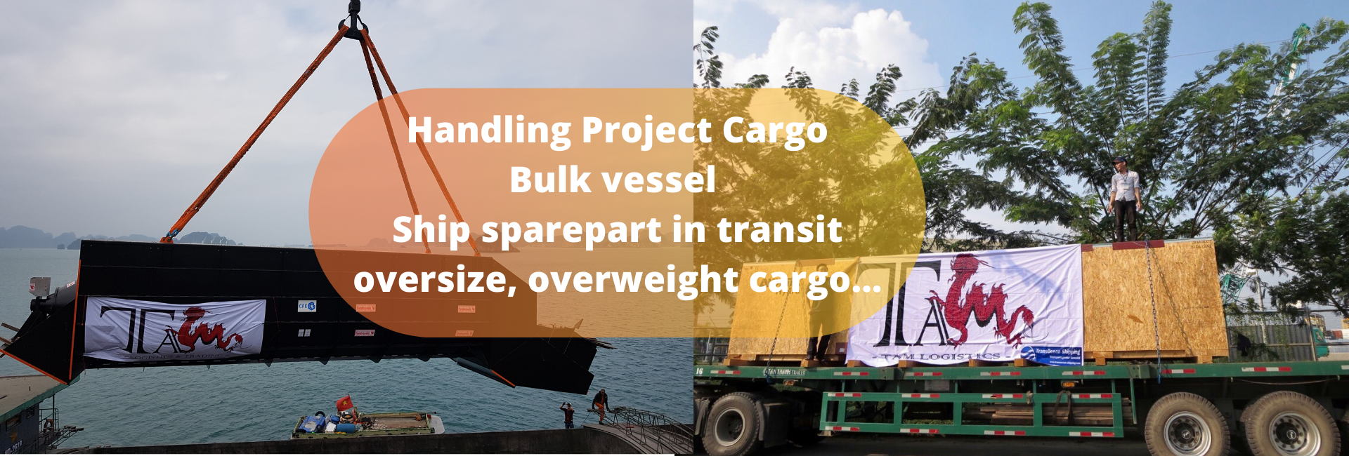 The professional logistics shipping agency - TAM Logistics