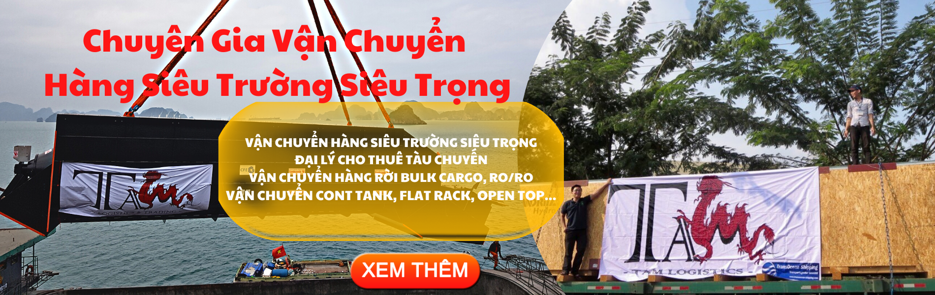 TAM Logistics - Dịch Vụ Vận Chuyển Quốc Tế Tận Tâm ️, Có Uy Tín