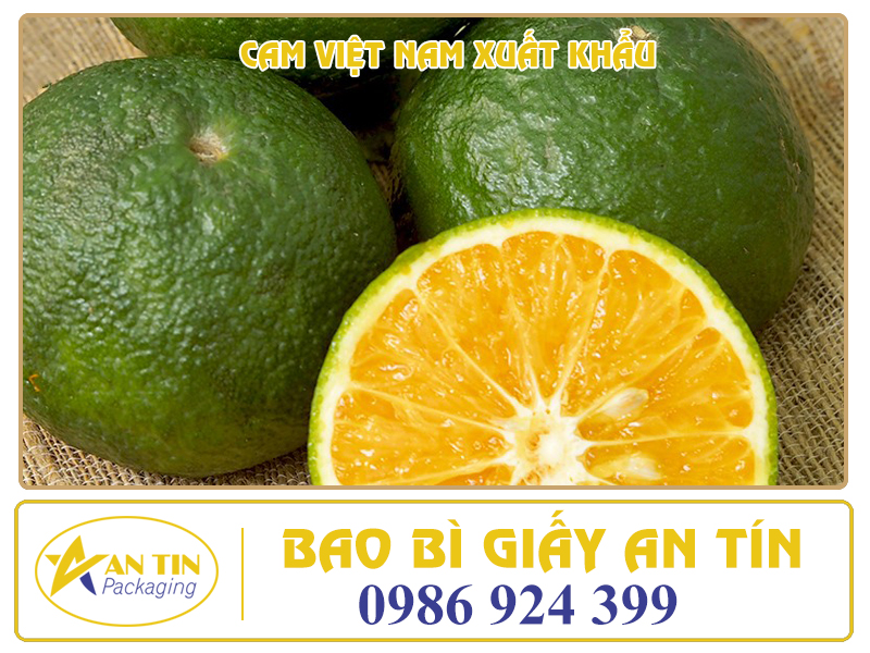 CAM VIỆT NAM XUẤT KHẨU CƠ HỘI VÀ THÁCH THỨC