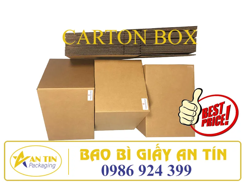 CARTON BOX