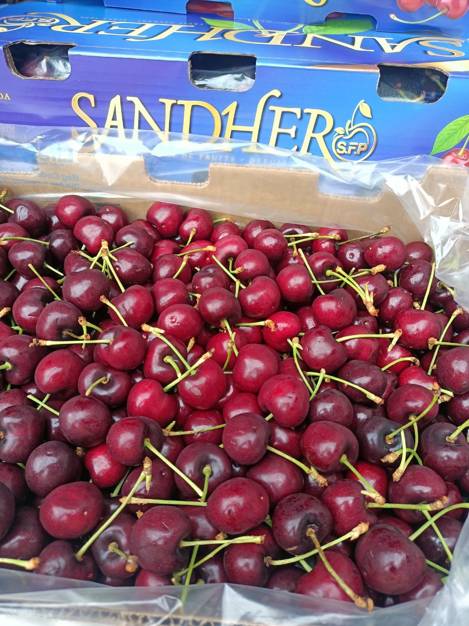 Cherry Sandher