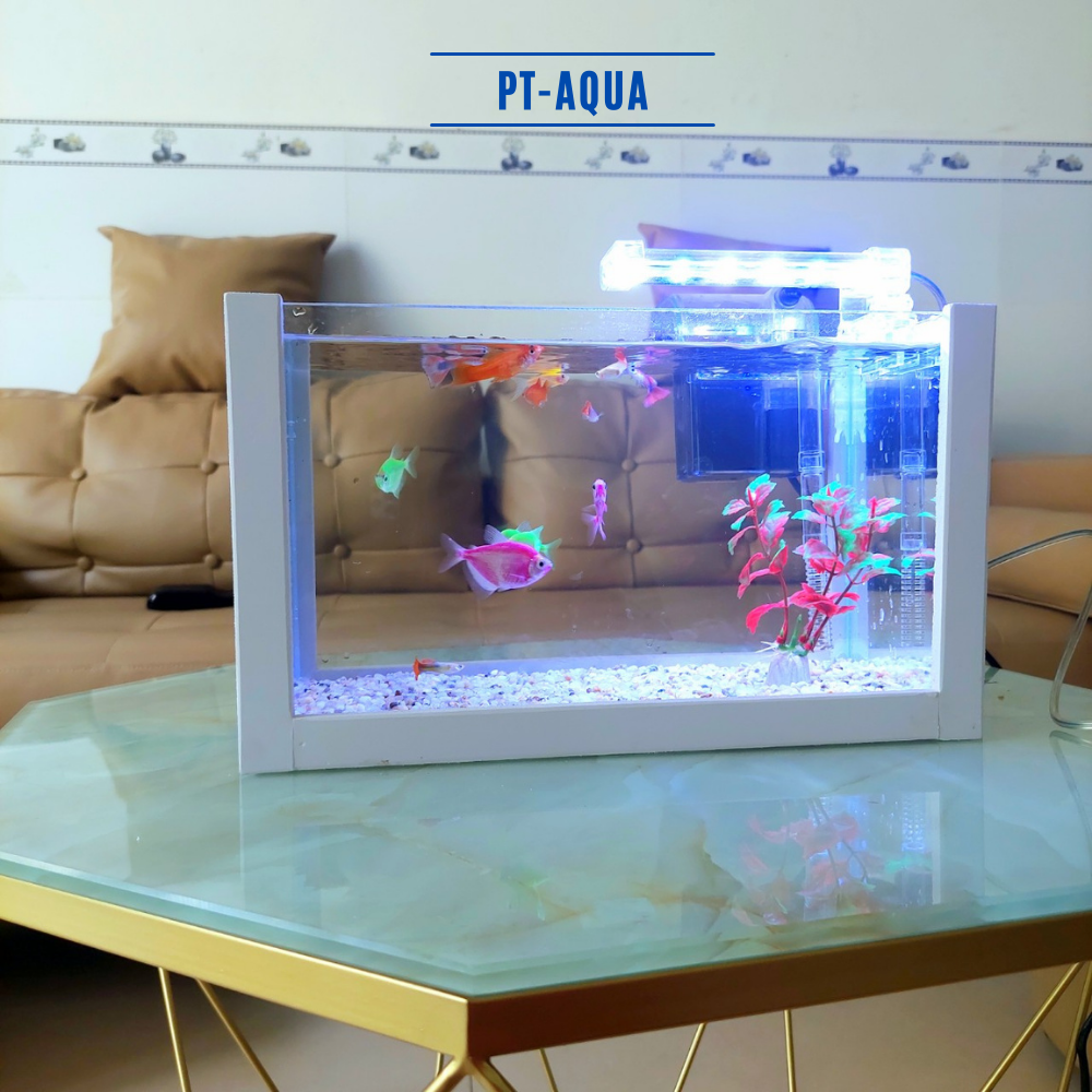 Bể cá mini để bàn COMBO D10 có Khung