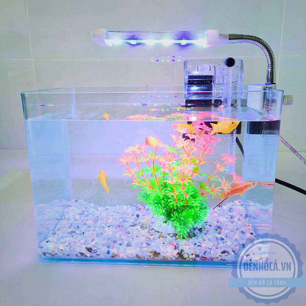 Bể cá mini Đúc uốn cong 25x16x18cm COMBO GEBO
