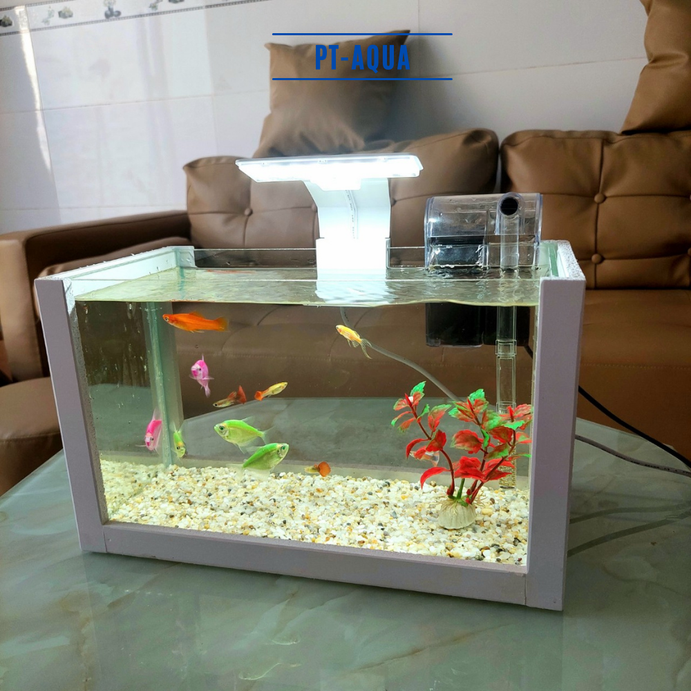 Bể cá mini để bàn COMBO LED13 WHITE có KHUNG